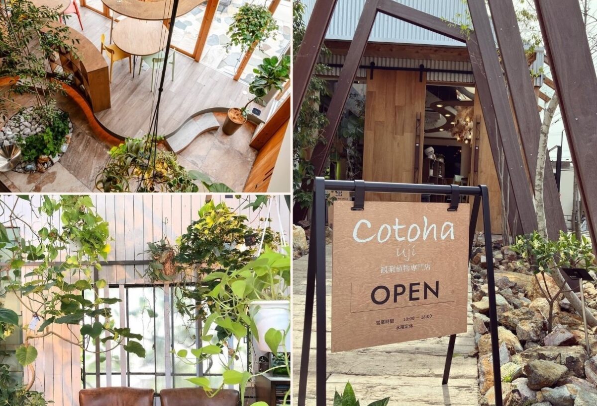 京都のボタニカルショップ｜話題のビザールプランツから観葉植物まで揃う専門店 - KYOTO SIDE(キョウトサイド)